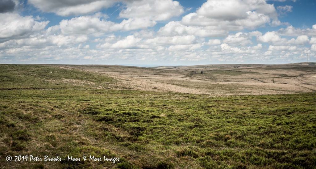 Crane Hill | Dartefacts