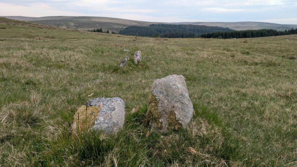 Sharpitor N.E. Stone Row | Dartefacts