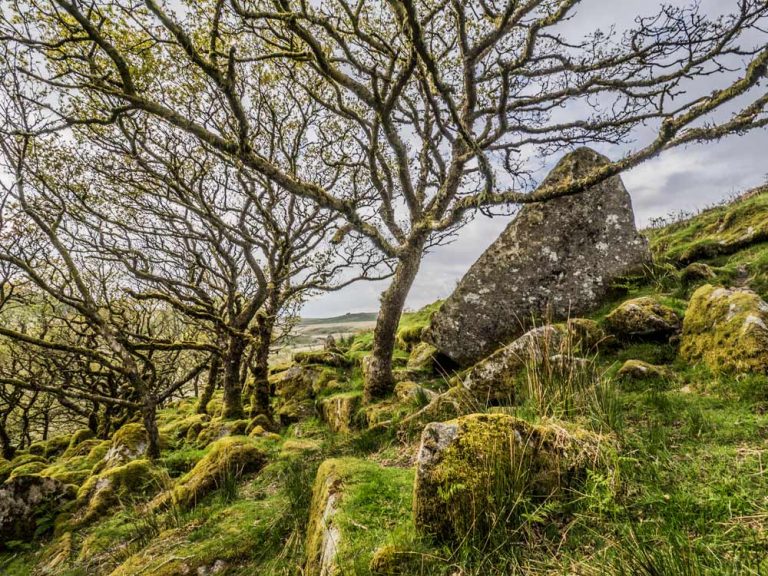 The Buller Stone (409 m) | Dartefacts