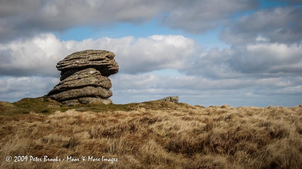 Rippon Tor | Dartefacts