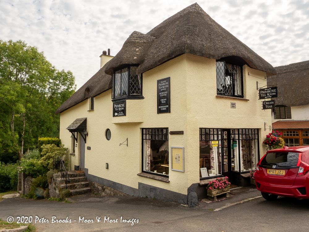 Lustleigh – Primrose Tearooms | Dartefacts