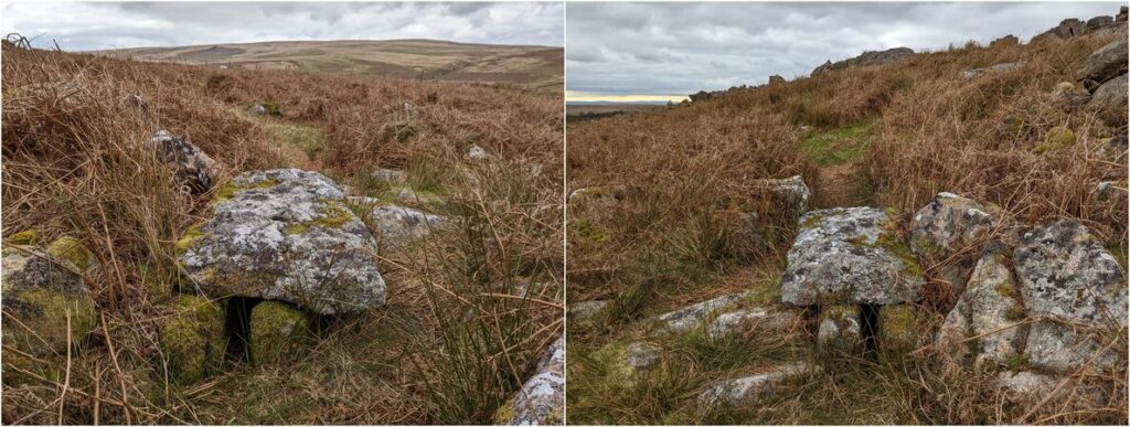 RG Haynes Vermin Trap #1, Legis Tor (S. side) | Dartefacts