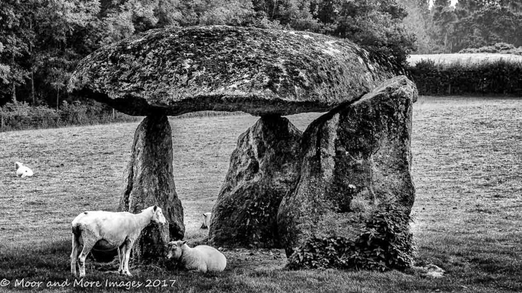 Spinsters’ Rock | Dartefacts