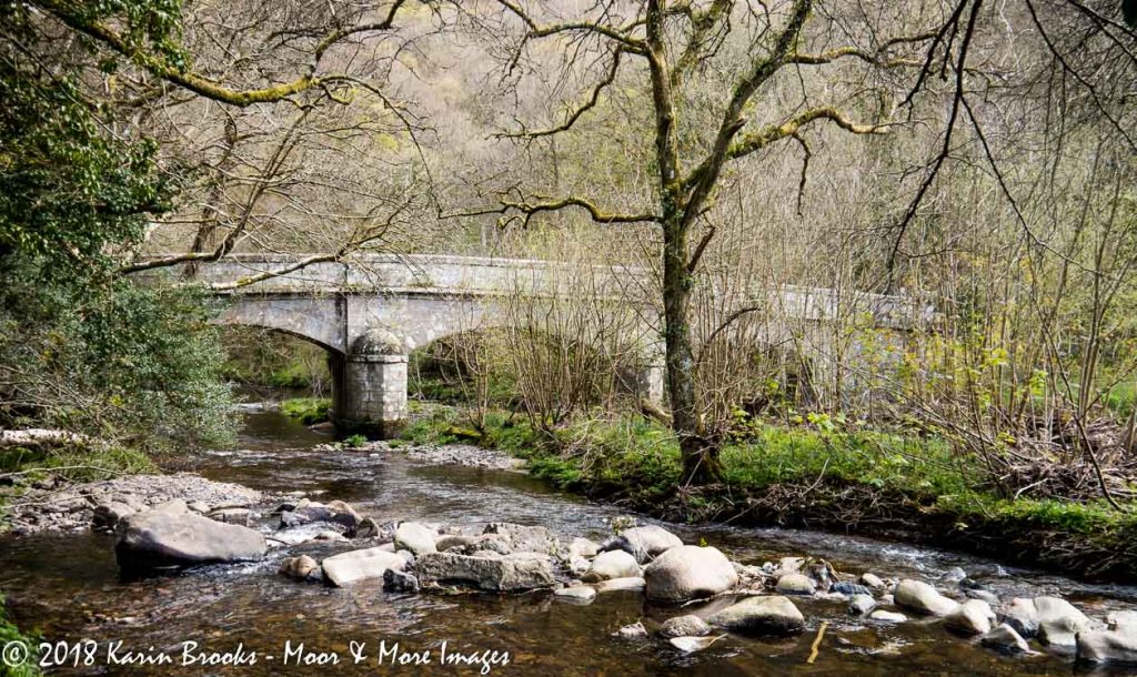 Steps Bridge | Dartefacts