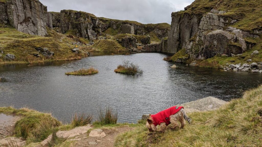 Foggintor/ Royal Oak Granite Quarry | Dartefacts