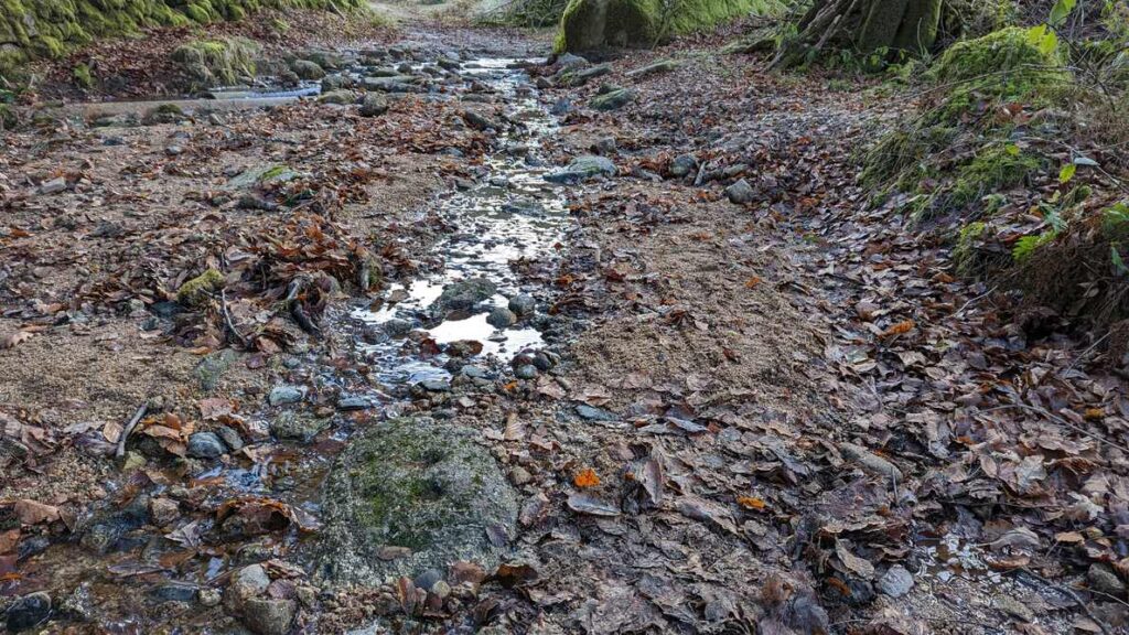 Burrator Testing Stone? | Dartefacts