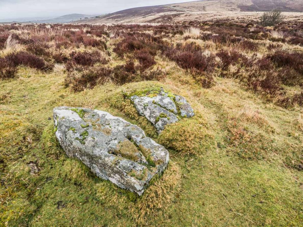 Vermin Trap with Two ‘V’ inscribed stones (442 m) | Dartefacts