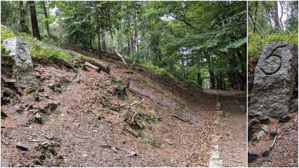 Templer Way 5 Mile Marker, Yarner Wood | Dartefacts