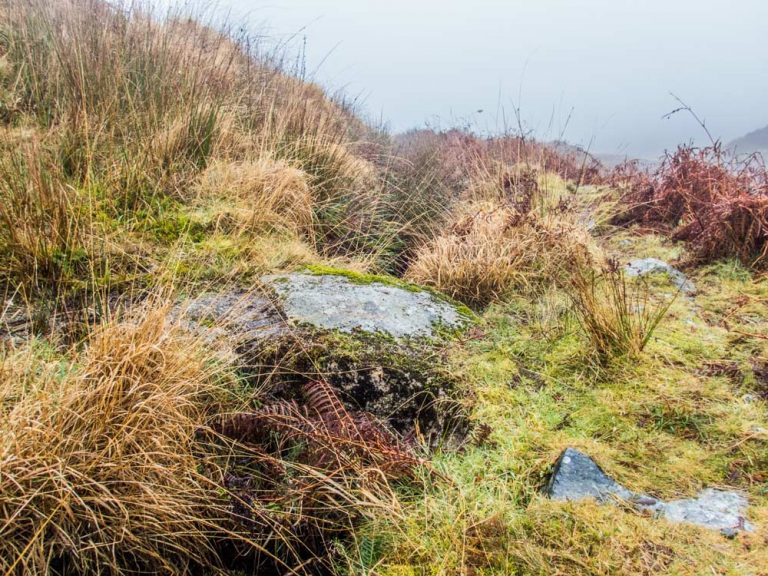 Lee Moor China Clay Works Leat Foot Bridge No.5 (284 m) | Dartefacts