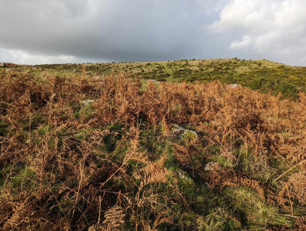 Collard Tor Cairns No.1 | Dartefacts