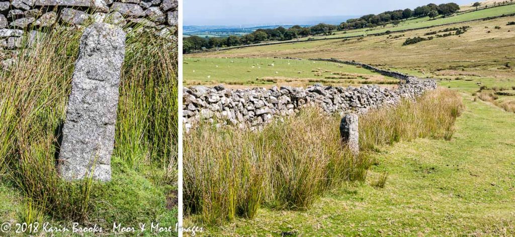 L Boundstone near Okehampton Camp No.1 (West of Anthony Stile) | Dartefacts