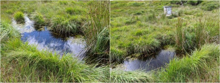 Cranmere Pool, Sacred Pool – Lake of Cranes | Dartefacts