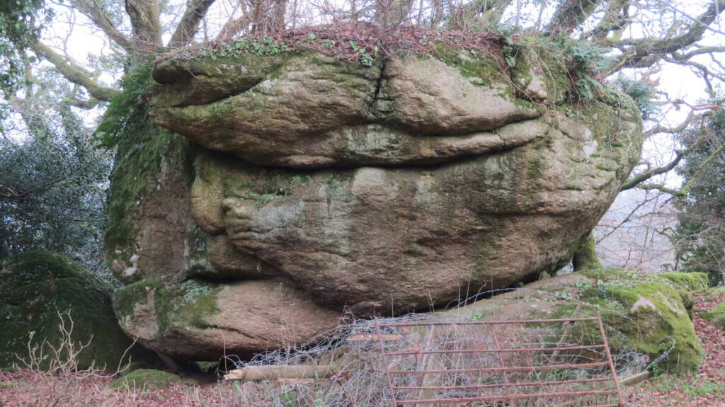 Ellimore Tor | Dartefacts
