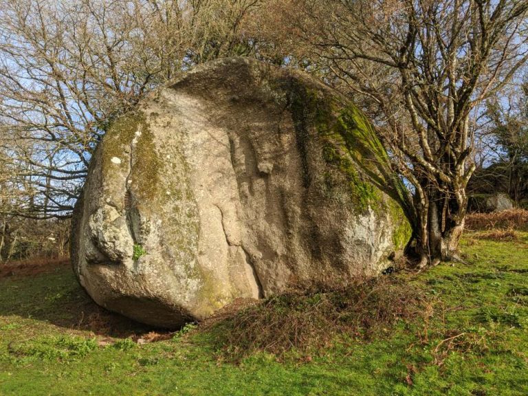 Pathfields Tor or The Path Fields | Dartefacts