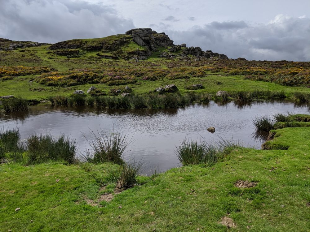 Saddle Tor B Sacred Pool | Dartefacts: Dartmoor Artefacts