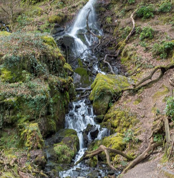 Burrator Discovery Centre | Dartefacts
