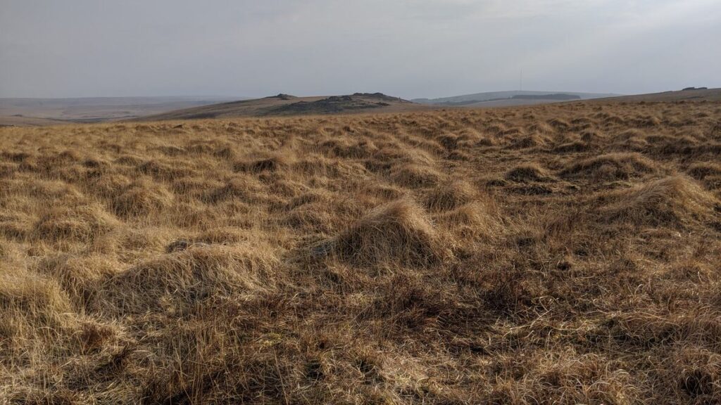 Crow Tor Top | Dartefacts
