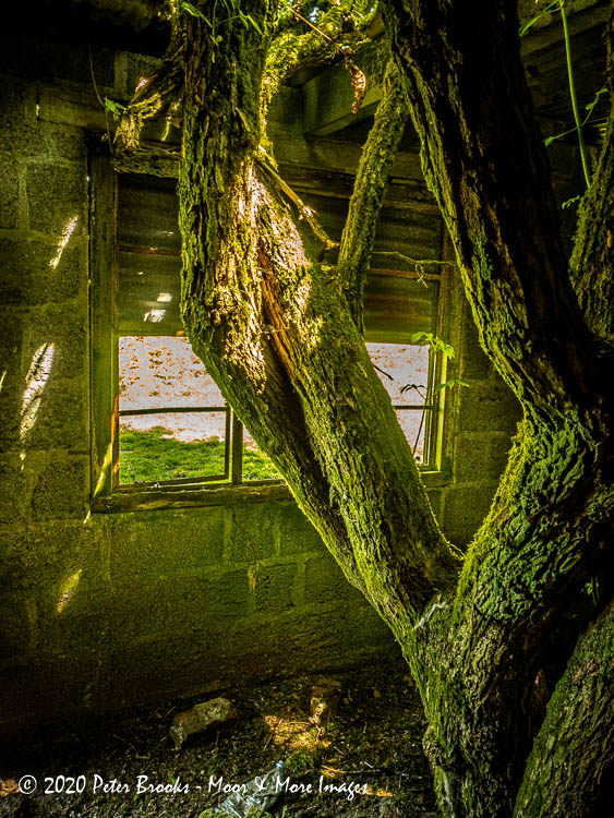 Rippon Tor Troop Shelter | Dartefacts