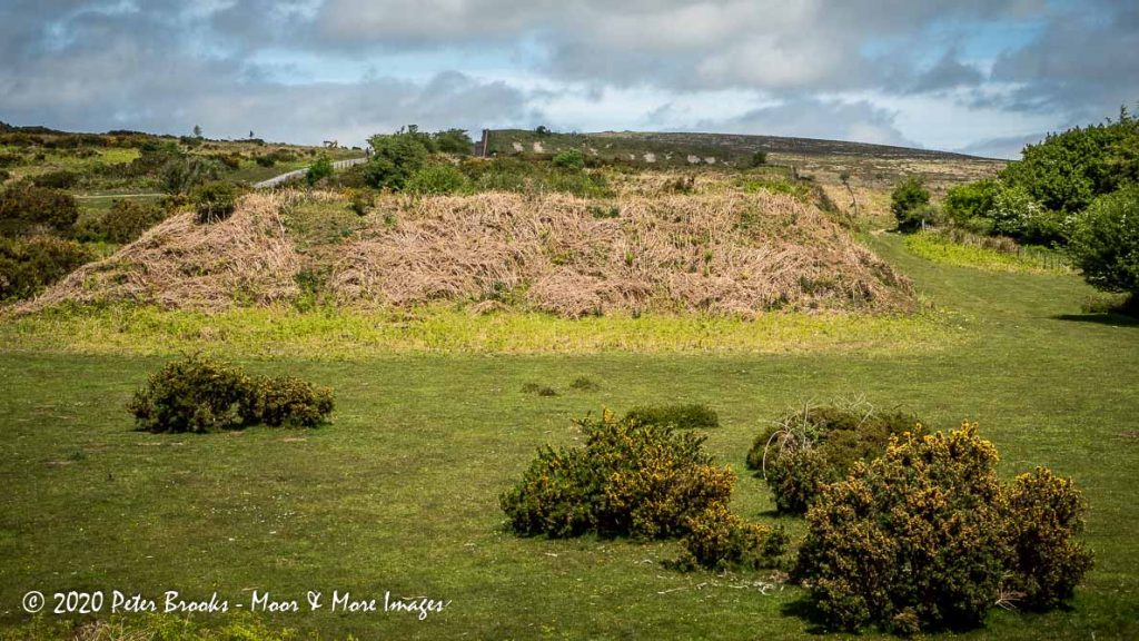 Rippon Tor Rifle Range – Firing Mound 3 | Dartefacts