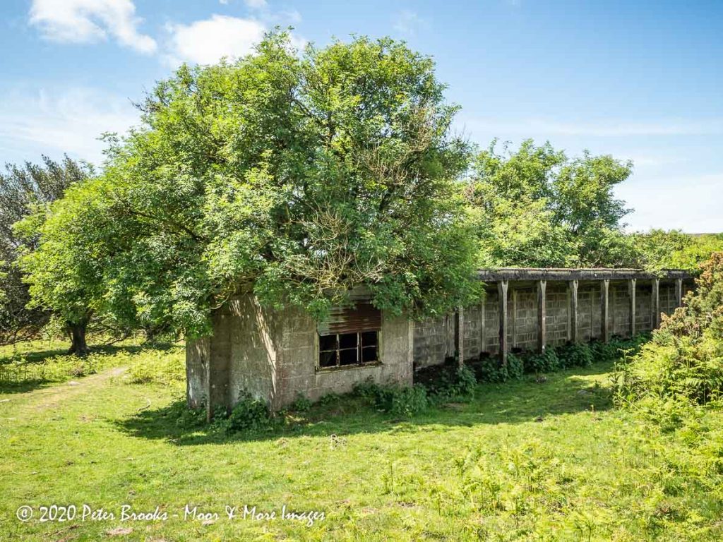 Rippon Tor Troop Shelter | Dartefacts
