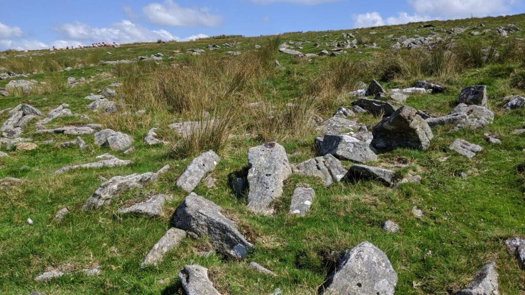 Small Clitter, N Side of Cut Hill | Dartefacts