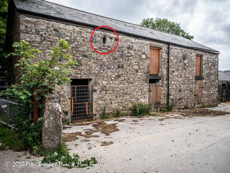 Willsworthy Chapel Trefoil Light | Dartefacts