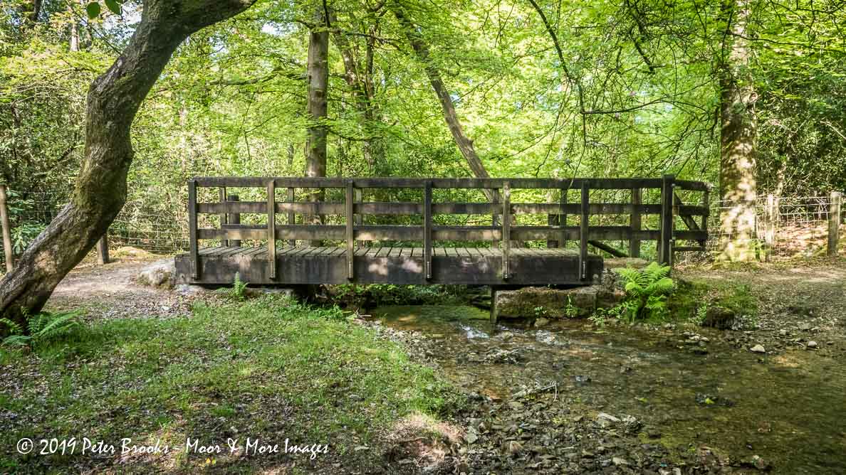 Footbridge near Quick Bridge | Dartefacts