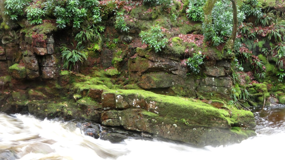 Shipley Gorge | Dartefacts: Dartmoor Artefacts
