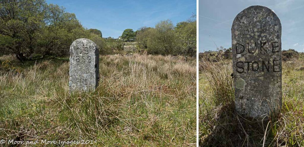 Ilsington/ Manaton – BS The Duke Stone No.16 | Dartefacts