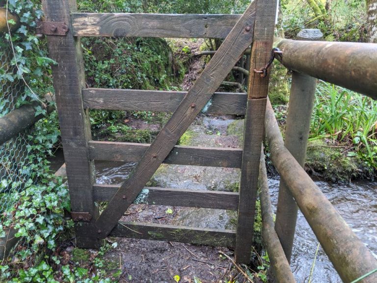 Foot Gate, Lower Combe, No.1 | Dartefacts