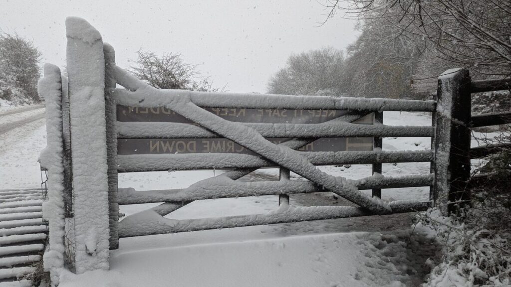 Stock Gate, Holwell Brook | Dartefacts
