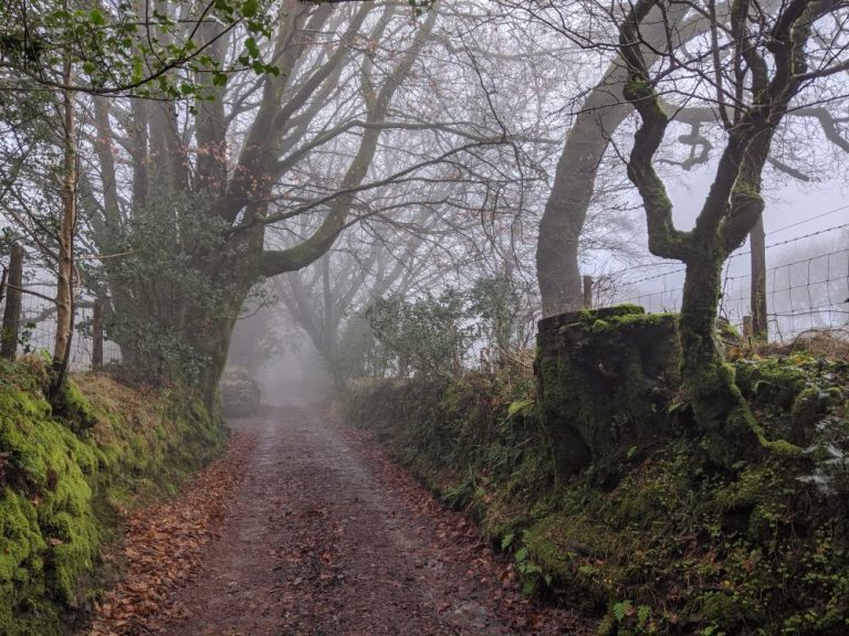 Lud Gate Track | Dartefacts