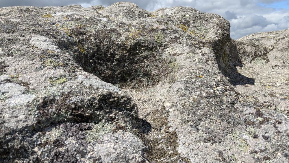 Mel Tor Rock Basins | Dartefacts: Dartmoor Artefacts
