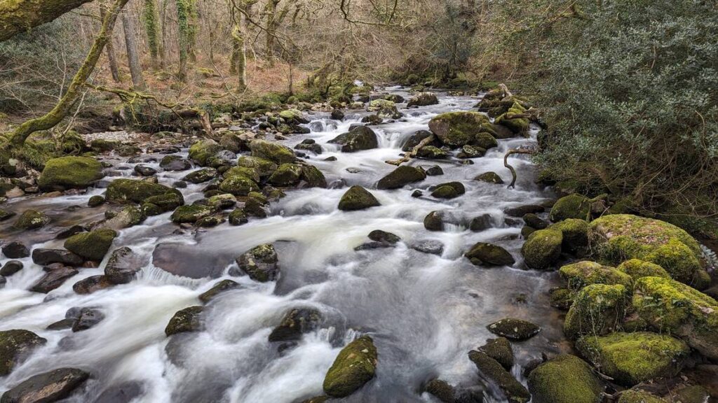 Dewerstone Gorge | Dartefacts