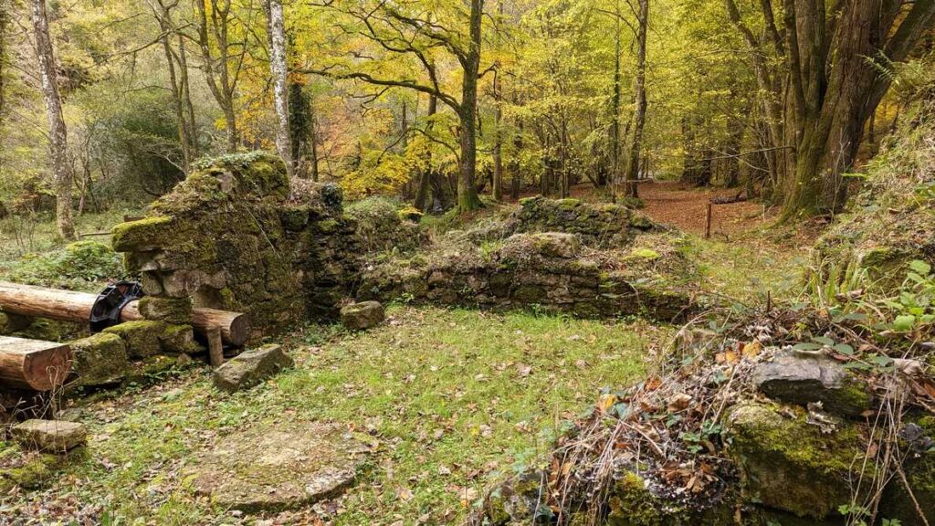 Fingle Mill, Ruin | Dartefacts
