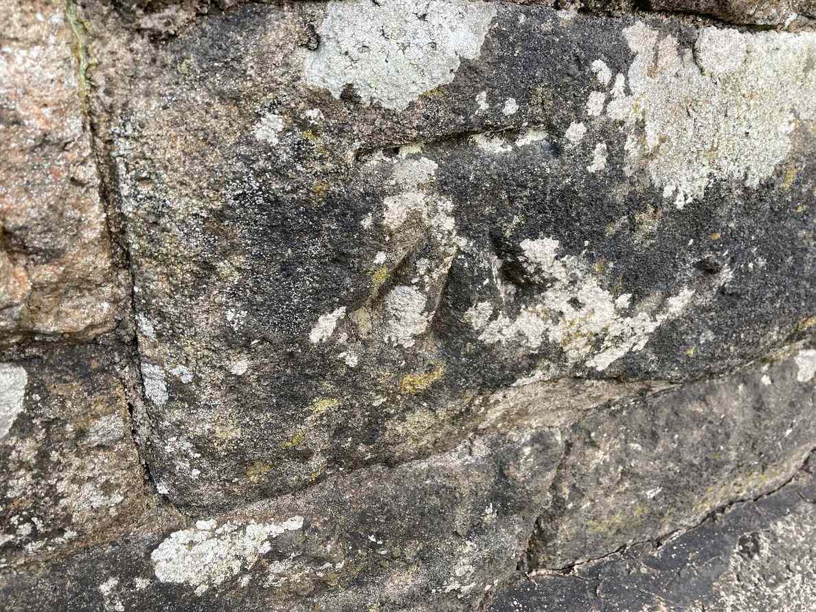 B.M. 0771.4, NEF, SW side of Tors Road on Bridge | Dartefacts