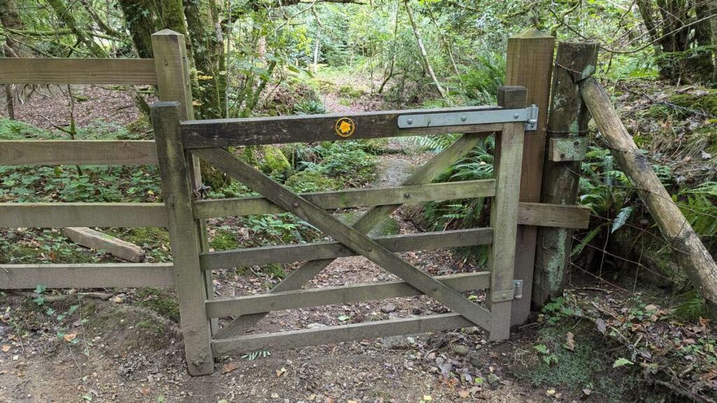Foot Gate, Long Heales Tor | Dartefacts