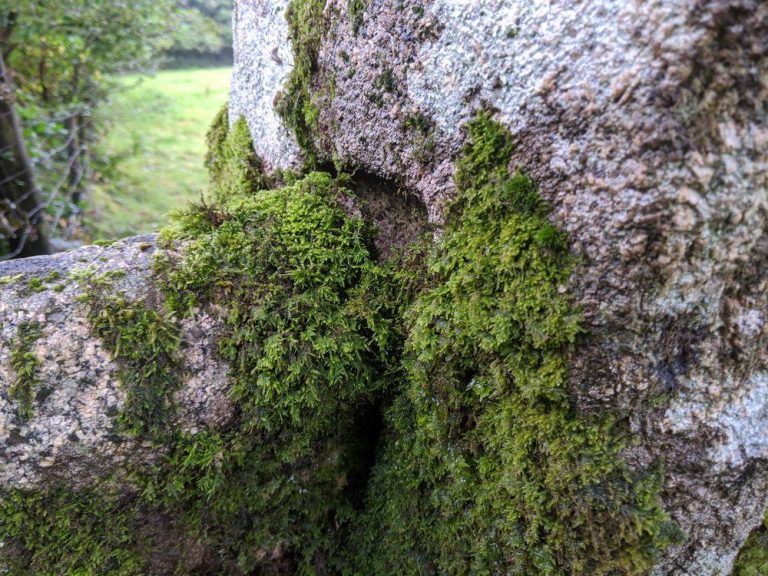 Stile, Granite, Nr. Walkhampton Church | Dartefacts