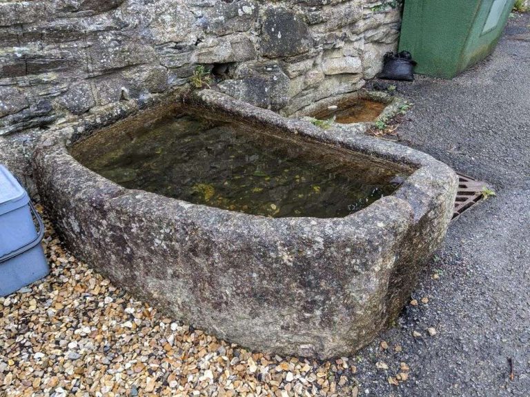 Walkhampton Troughs | Dartefacts
