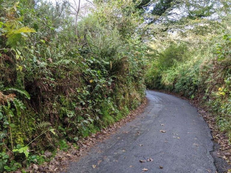 B.M. on Wall, NW Hedge Ang, SE side of RD (Not Located) | Dartefacts