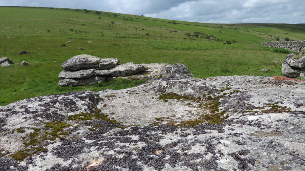 Coombe Down Tor Rock Basins x4 | Dartefacts