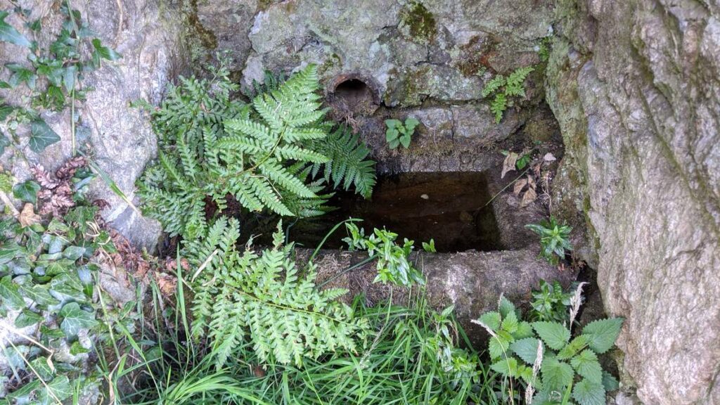 Manaton Stone Trough | Dartefacts