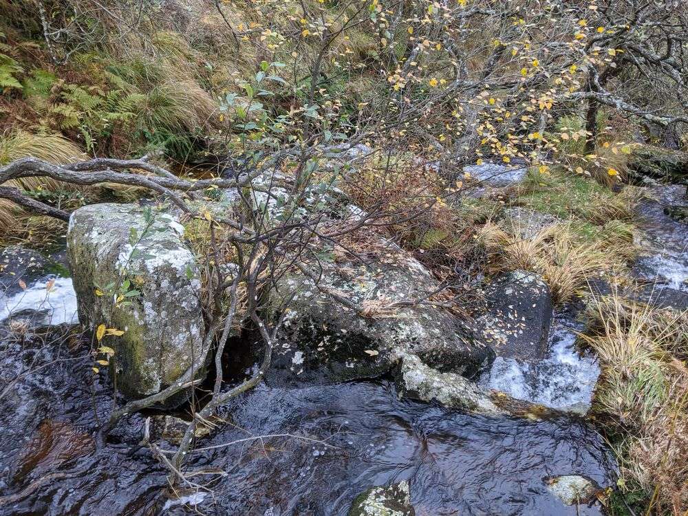 Shilley Pool Island | Dartefacts