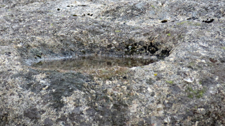 Rock Basin on Roos Tor Logan Stone | Dartefacts