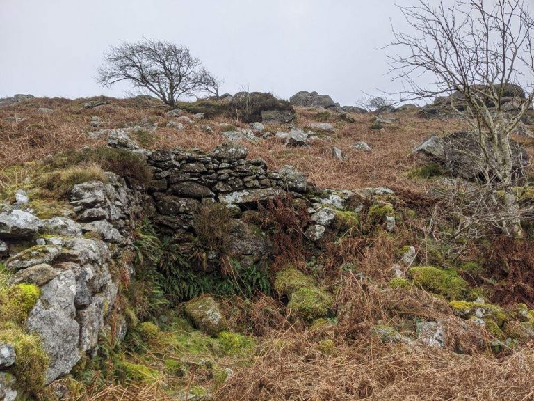 Holwell Tor Ruined Building/ Office | Dartefacts