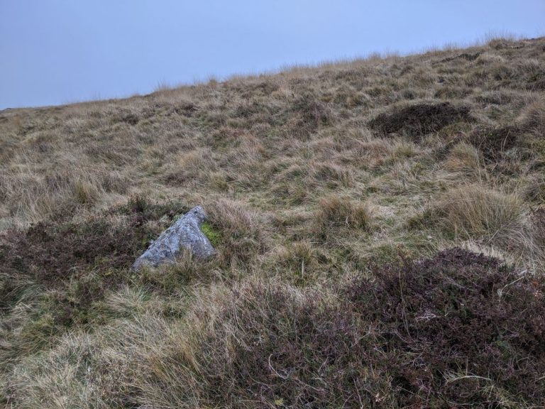 NBM Rivet Rock, NE of Rippon Tor (Not Located) | Dartefacts