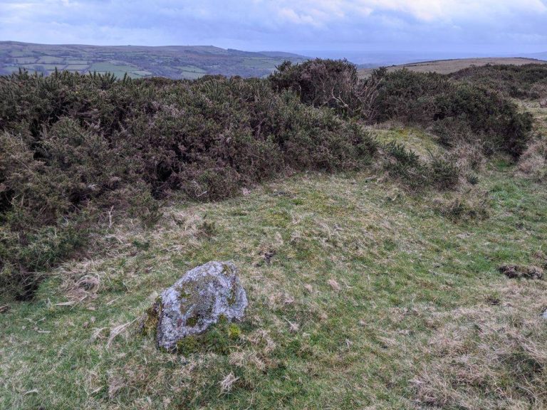 Possible Boundary Stone, Terminus of Reave | Dartefacts