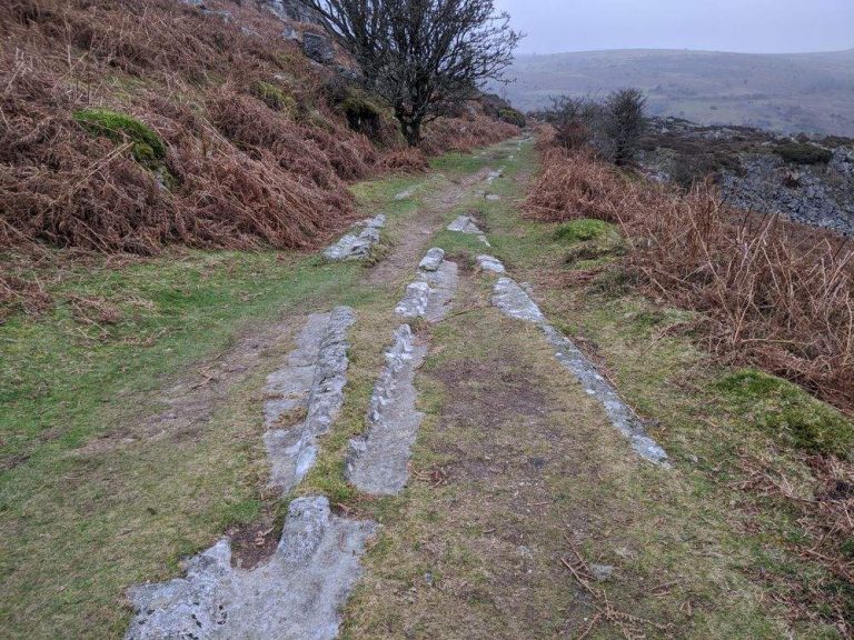 Tramway Points near Holwell Quarry | Dartefacts