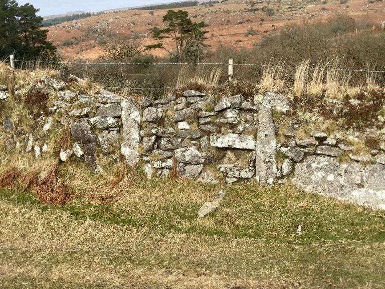 Walled-in Gateway, Roughtor Plantation, South-East | Dartefacts
