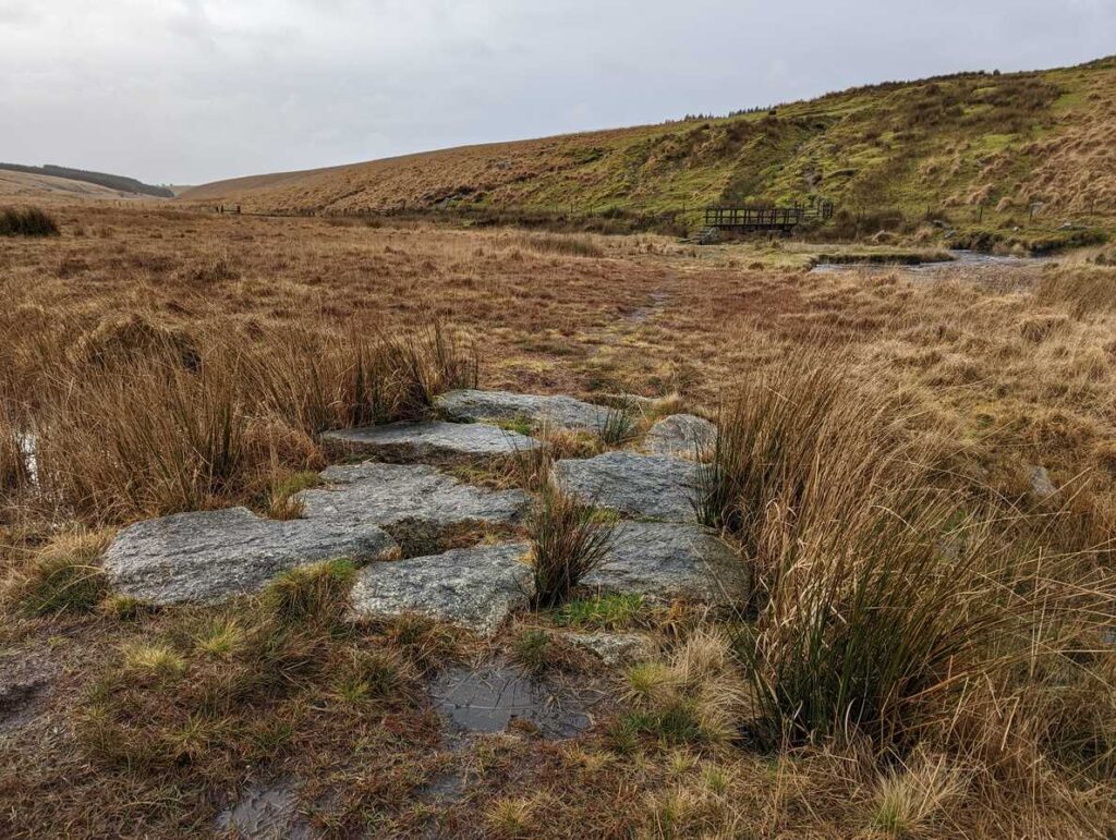 Crossing Points near Cowsic Footbridge | Dartefacts